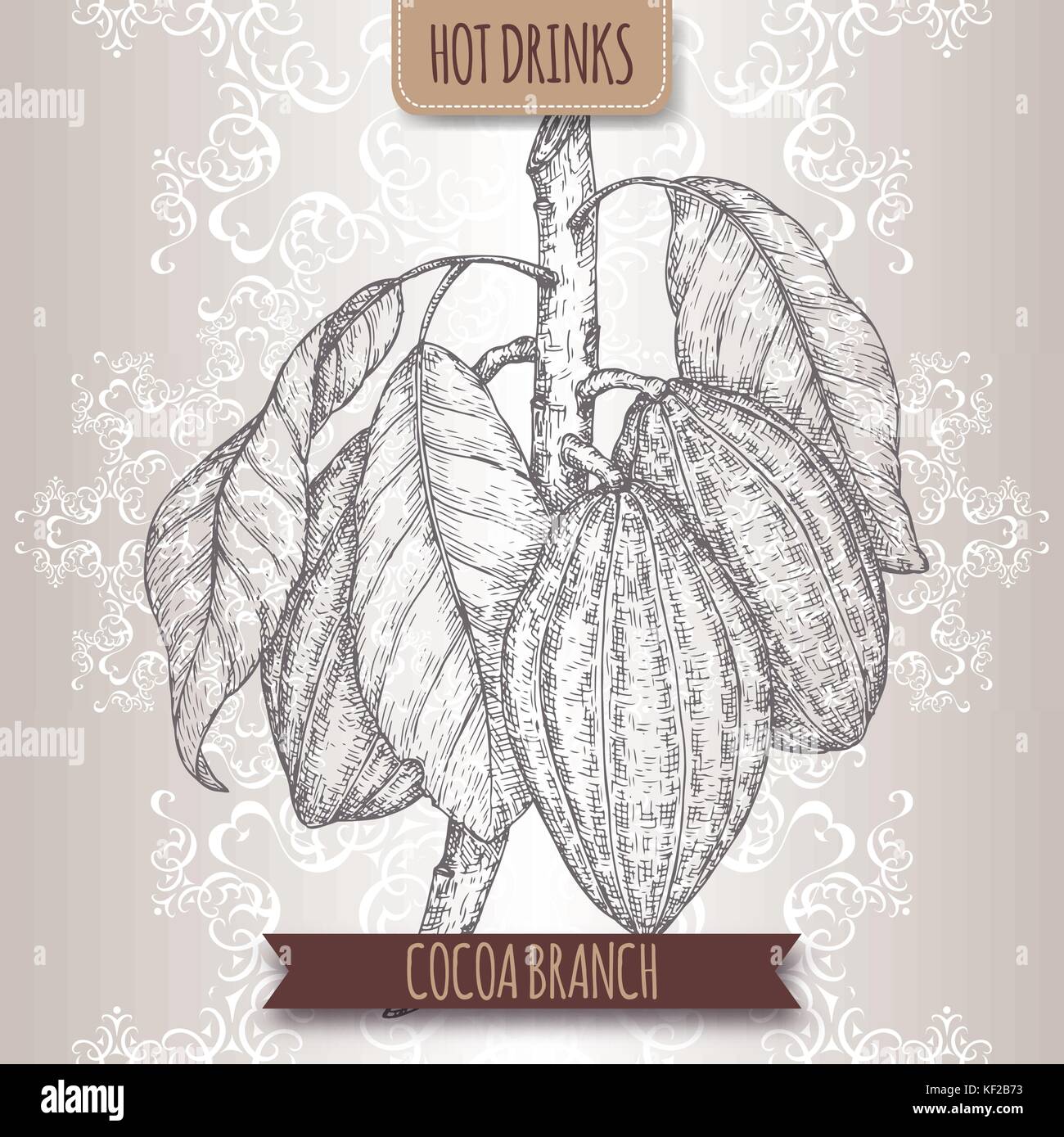 Fruit of the cacao tree Stock Vector Images - Alamy