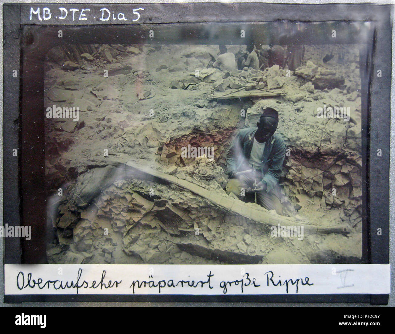 Tendaguru hi-res stock photography and images - Alamy