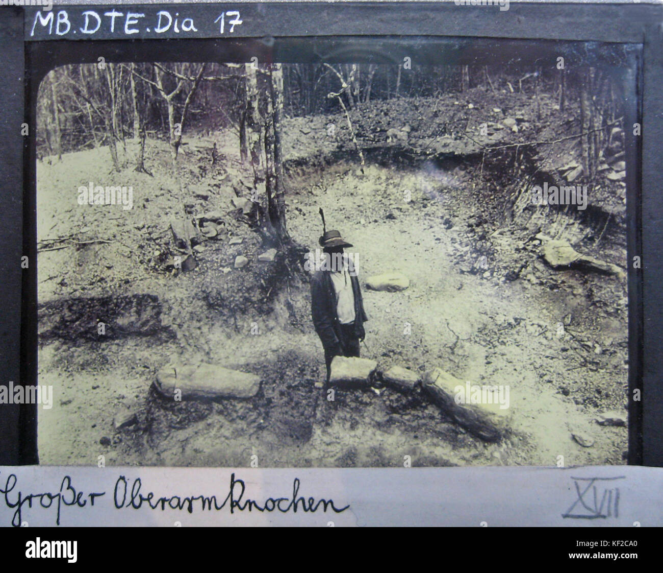 Tendaguru hi-res stock photography and images - Alamy