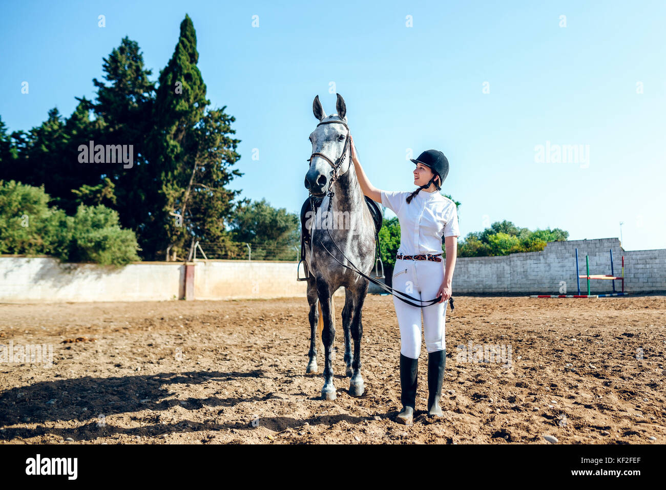 Young rider with horse on riding corral Stock Photo - Alamy