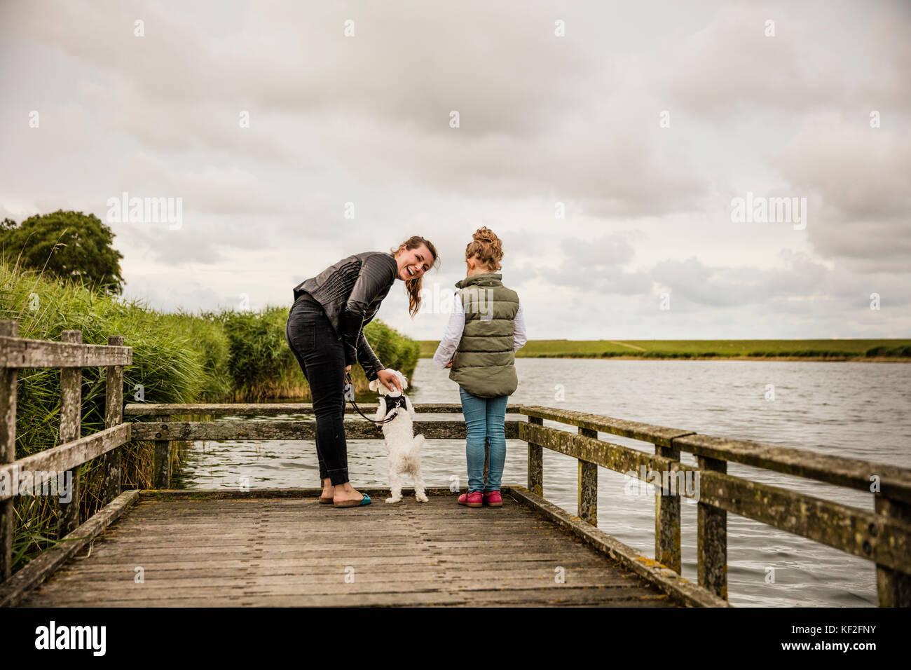 Dog standing jetty hi-res stock photography and images - Alamy
