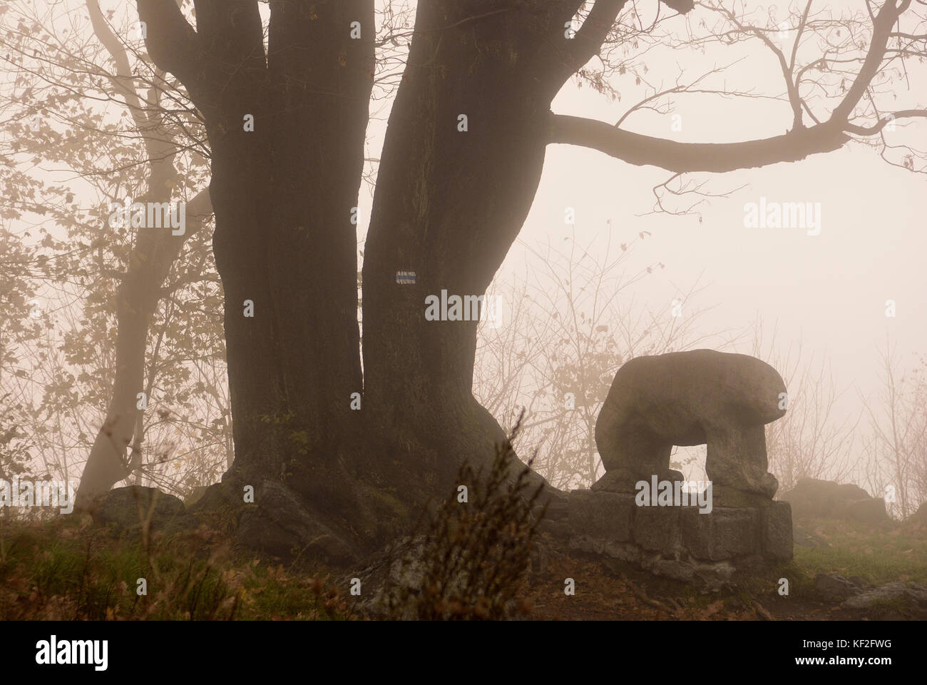 sleza, mountain, landscape, silesia, poland, sleza, mountain, landscape ...
