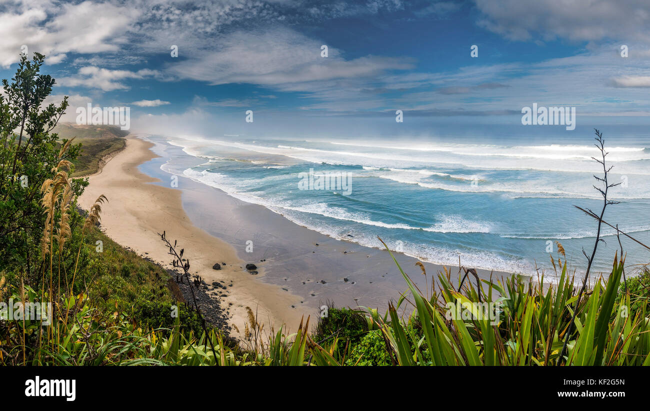 New Zealand, North Island, view to Maunganui Bluff Beach Stock Photo ...