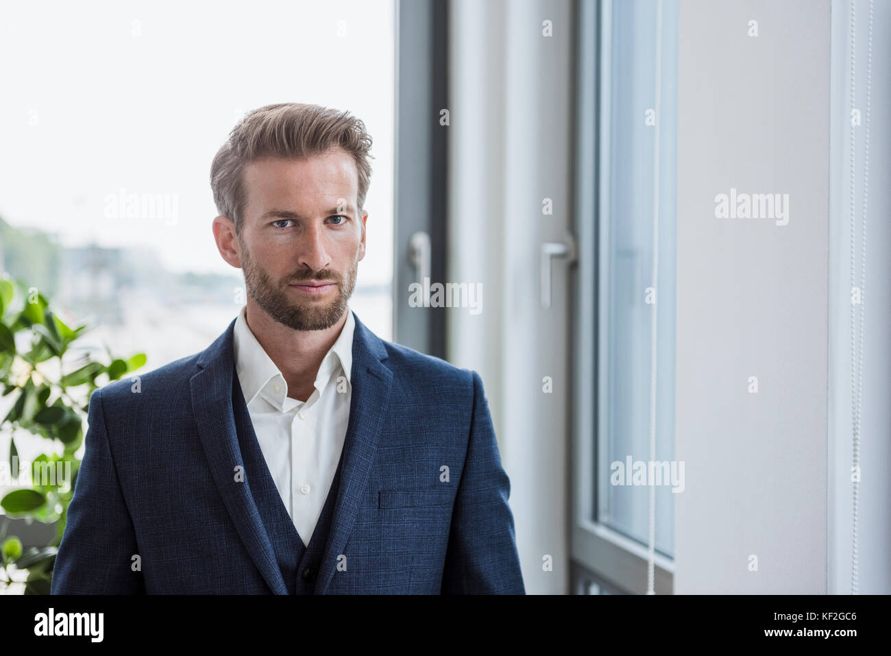 Portrait of bearded businessman in his office Stock Photo - Alamy