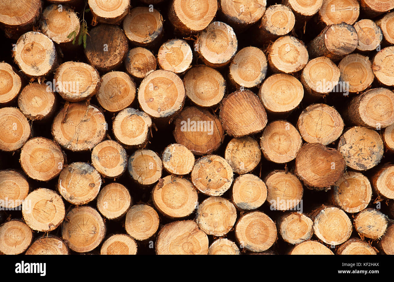 stack of logs Stock Photo - Alamy