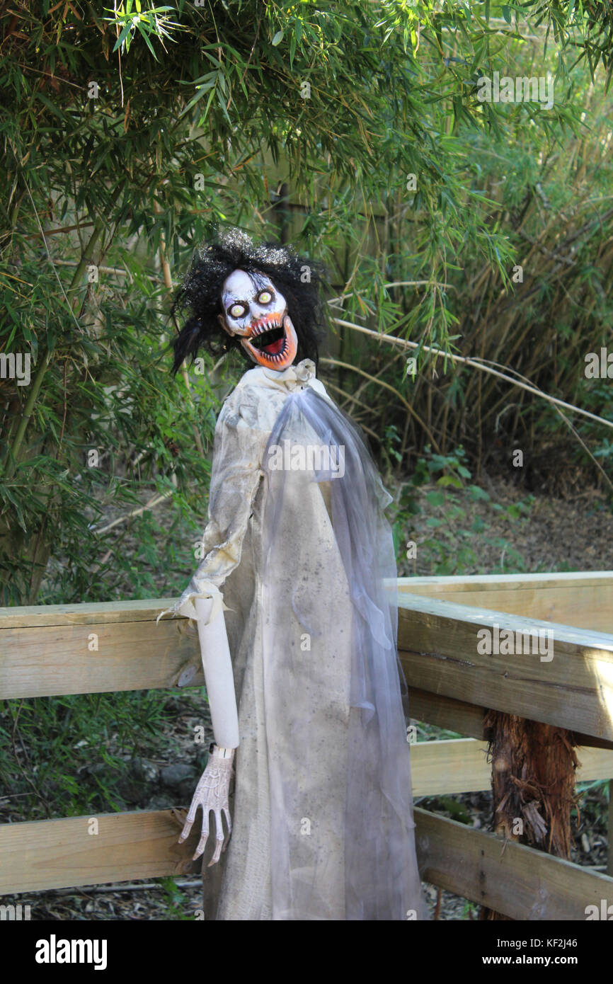 Ghoul in the Woods Stock Photo - Alamy