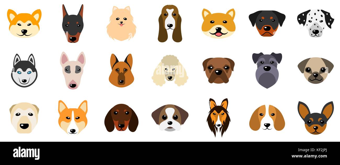 Set Heads of Dogs, Collection Different Breeds of Canines, Isolated on ...
