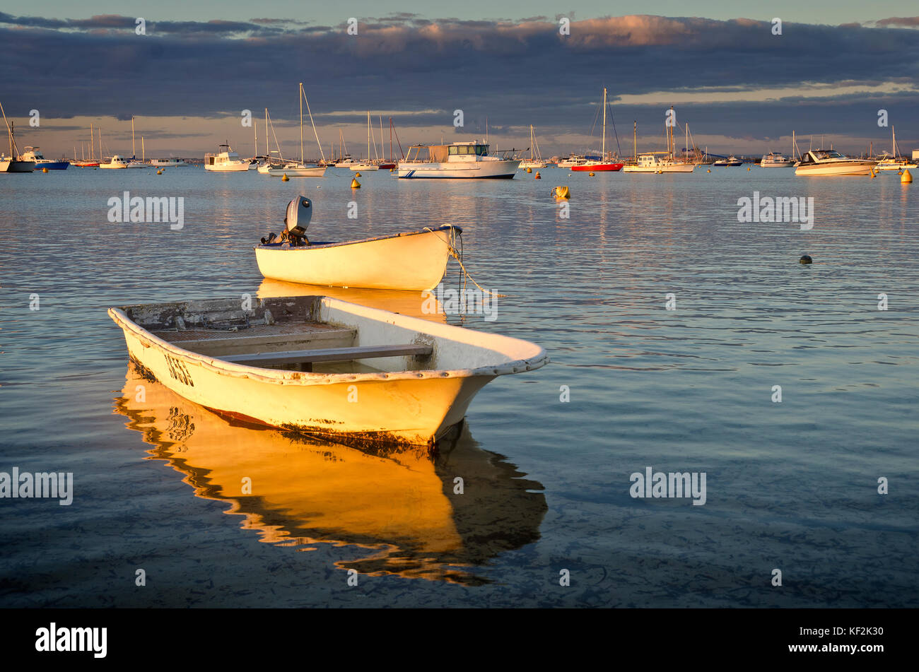 small dinghies floating at anchor in quiet marina at sunset Stock Photo ...