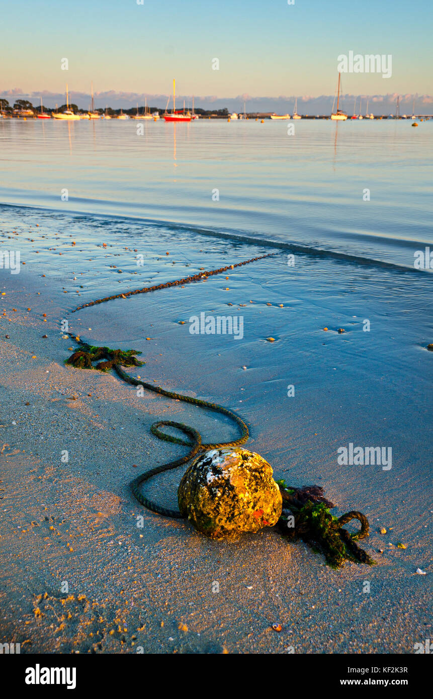 Entanglement flotsam hi-res stock photography and images - Alamy