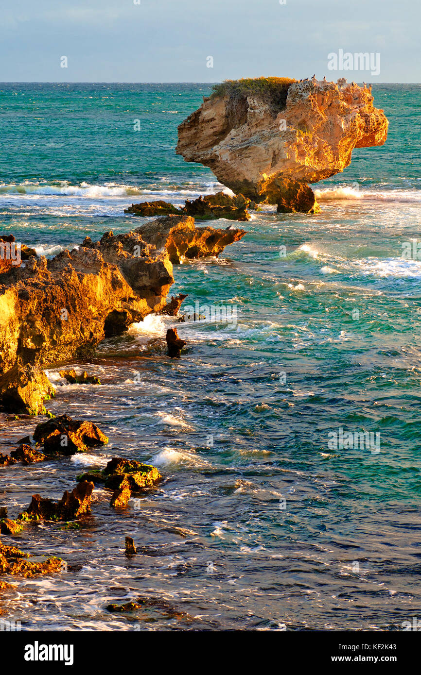 Rugged weather limestone outcrop at Cape Peron Rockingham Stock Photo ...