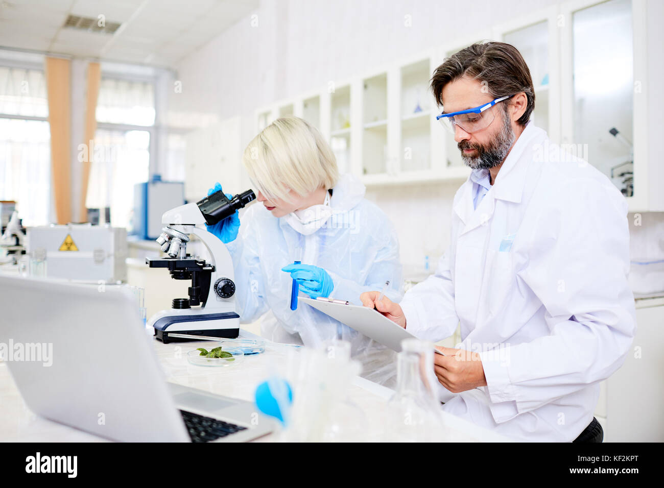 Chemists at work Stock Photo - Alamy