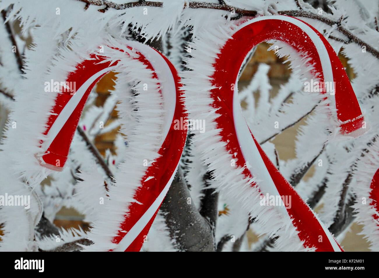 Unique and rare formation of icicles and snow on Candy Cane Stock Photo ...