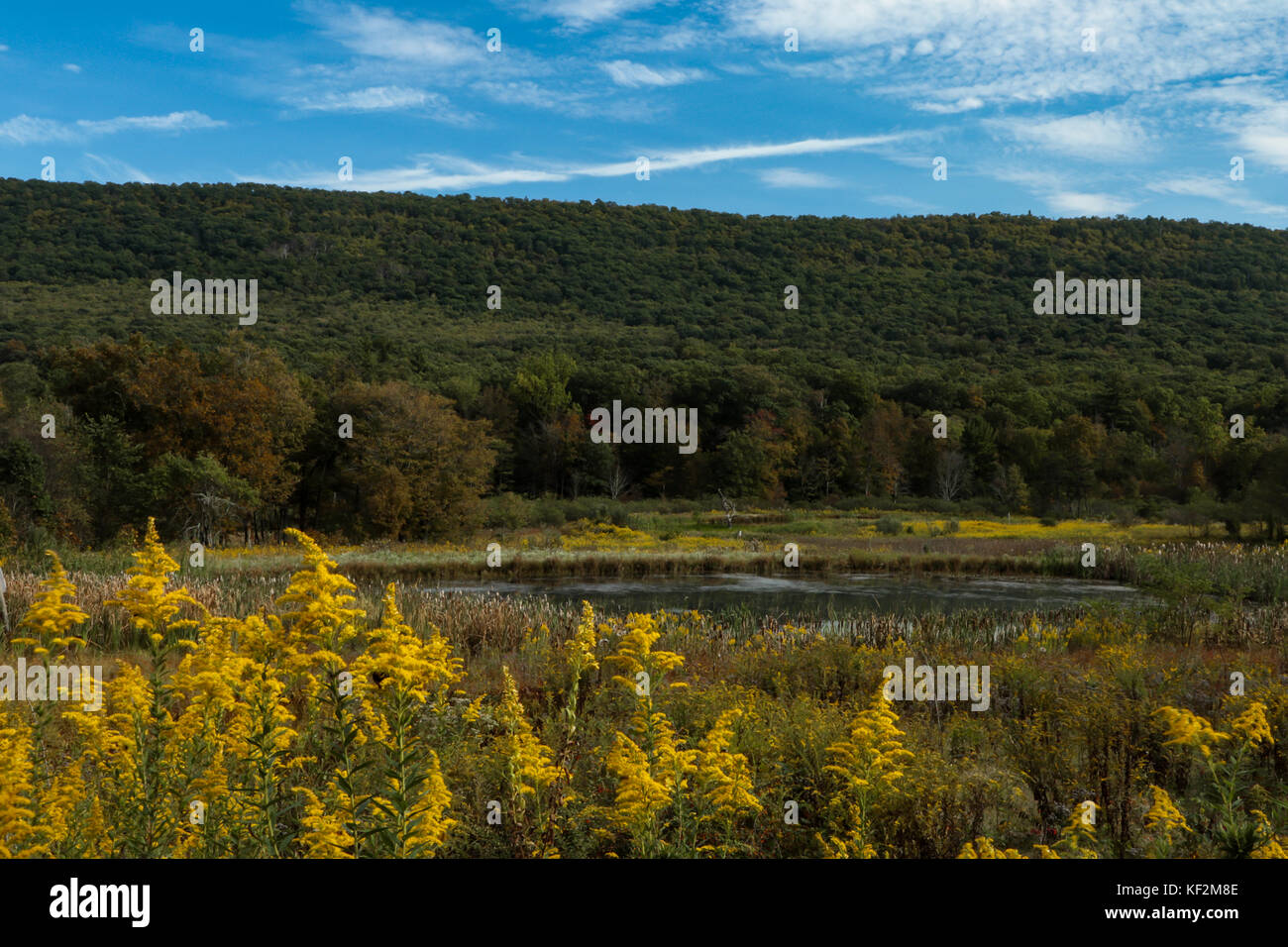 An appalachian view in Pennsylvania Stock Photo - Alamy