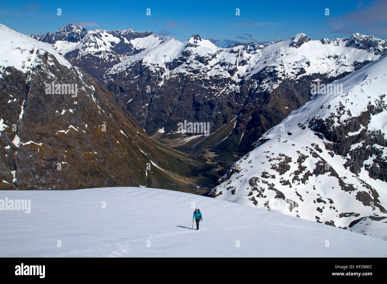 Climber on the slopes of Barrier Knob, above Gertrude Saddle in ...