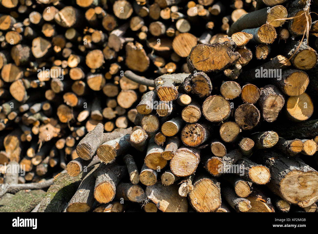 Wood pile background Stock Photo - Alamy
