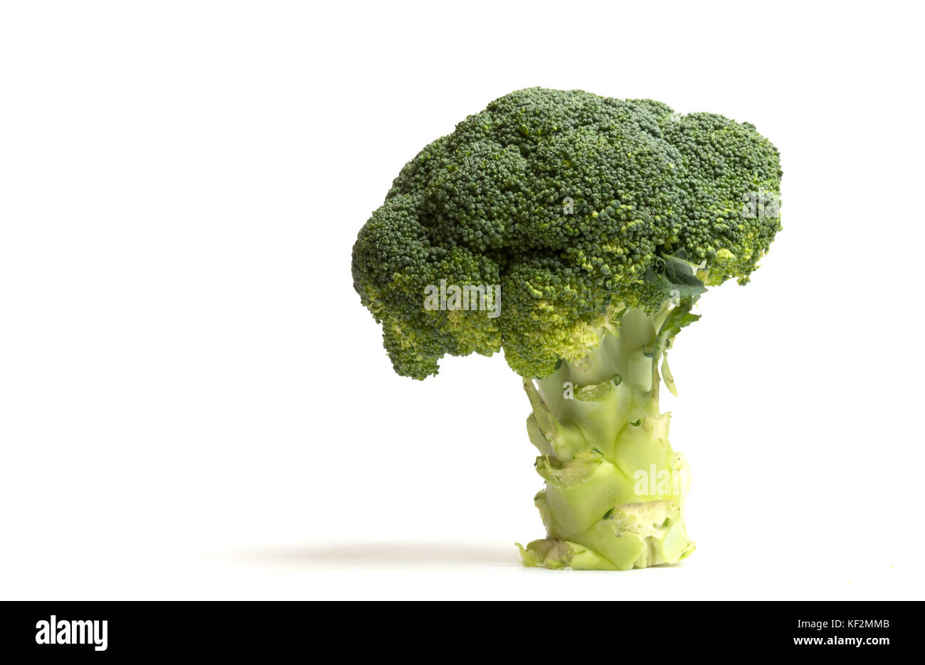 Tree of broccoli on white background Stock Photo - Alamy