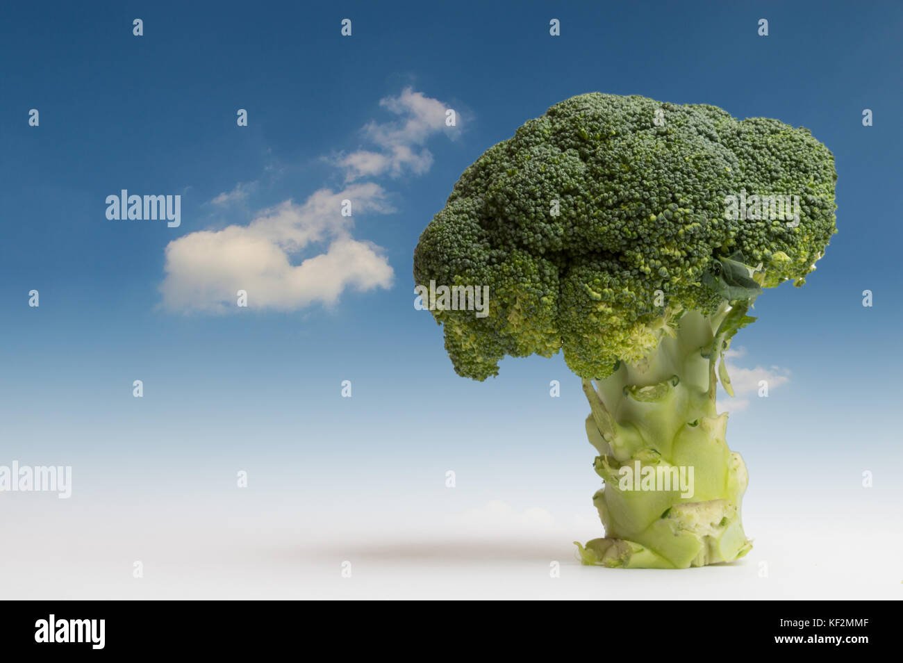 Tree of broccoli. Fantasy Landscape Stock Photo - Alamy