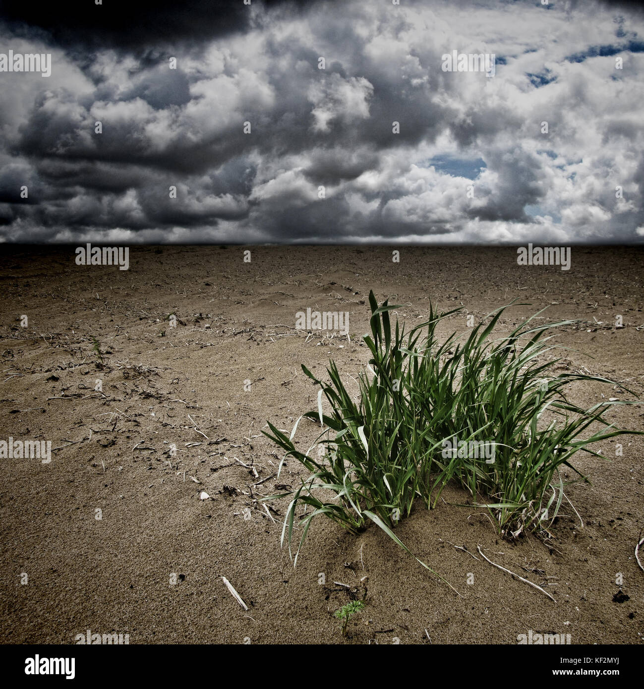 Desertification, dramatic landscape Stock Photo - Alamy