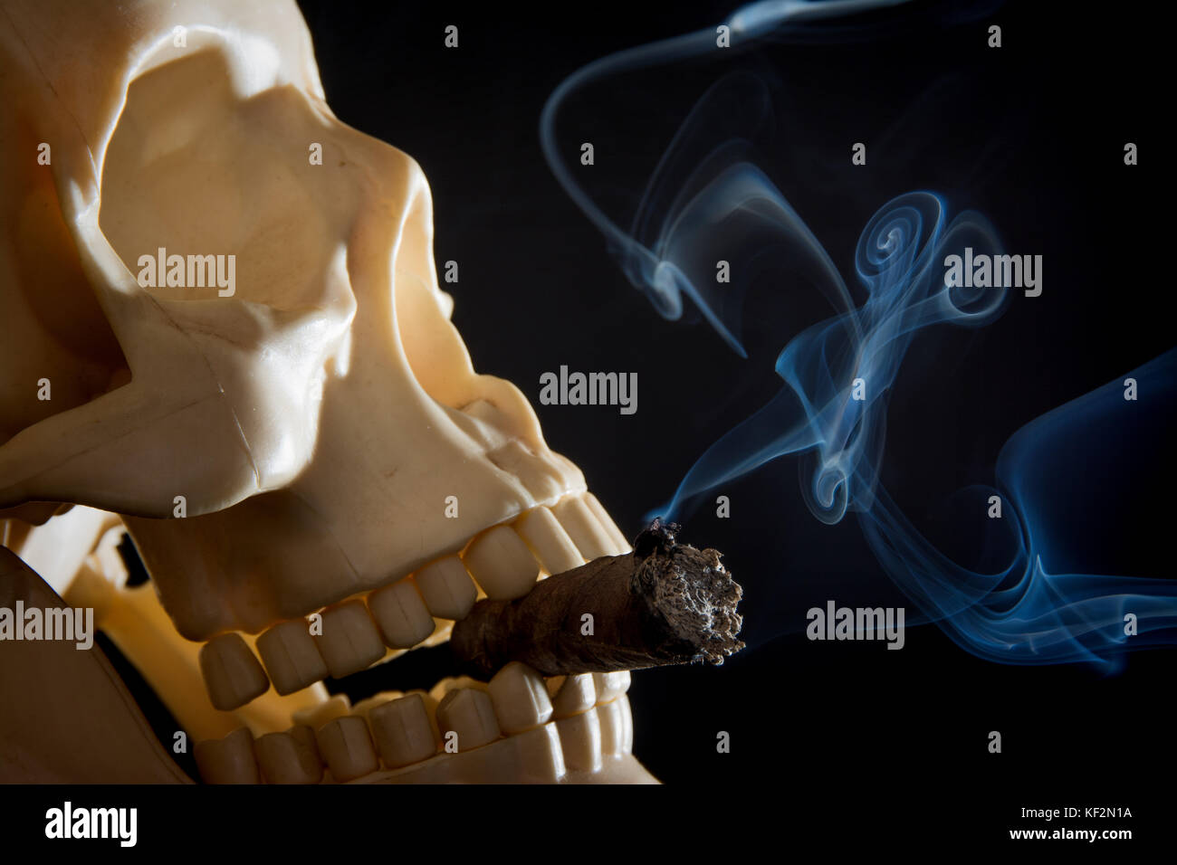 Smoking skull hi-res stock photography and images - Alamy