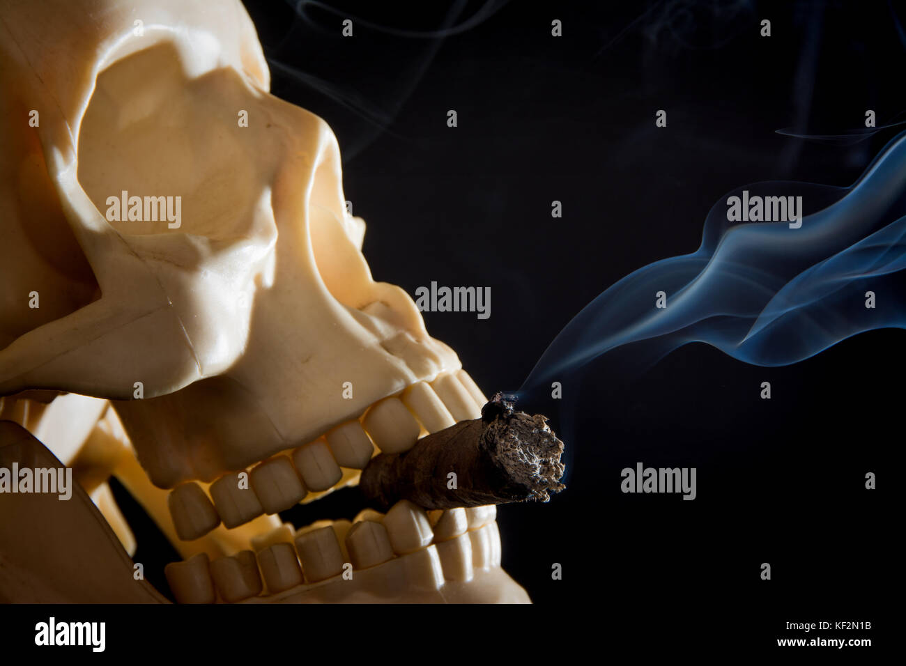 Smoking skull hi-res stock photography and images - Alamy