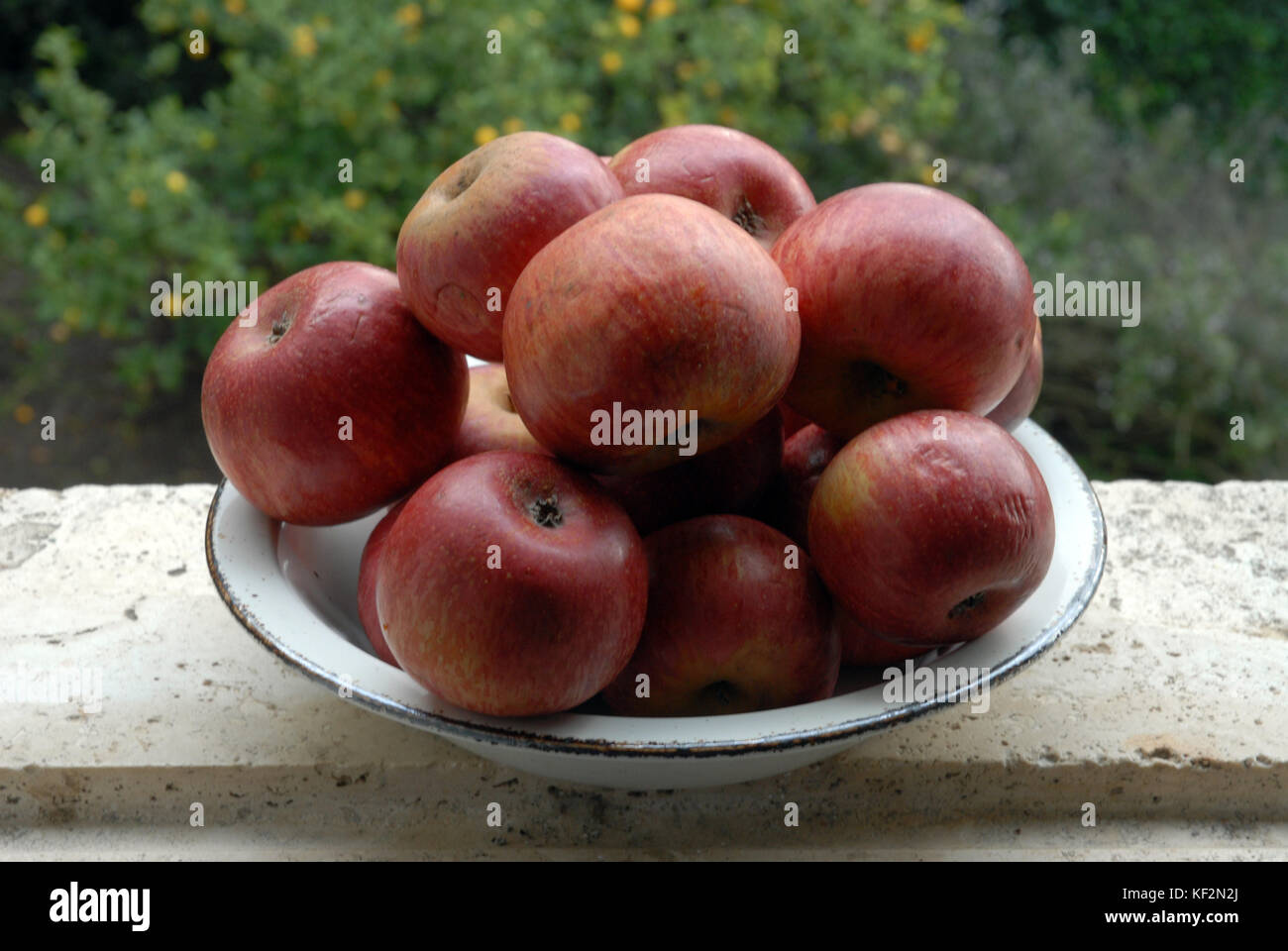 Plate with red apples Stock Photo - Alamy