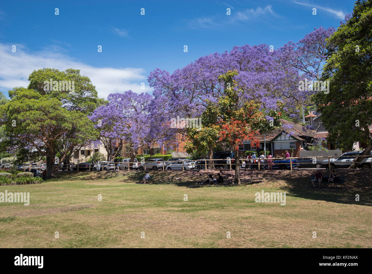 Milson Park, North Sydney council, Sydney, NSW, Australia Stock Photo ...