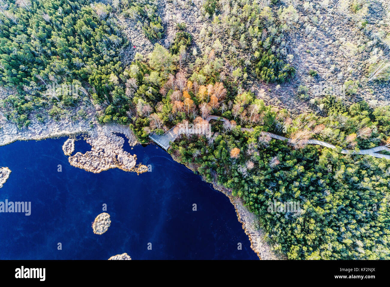 Sumava national park hi-res stock photography and images - Alamy