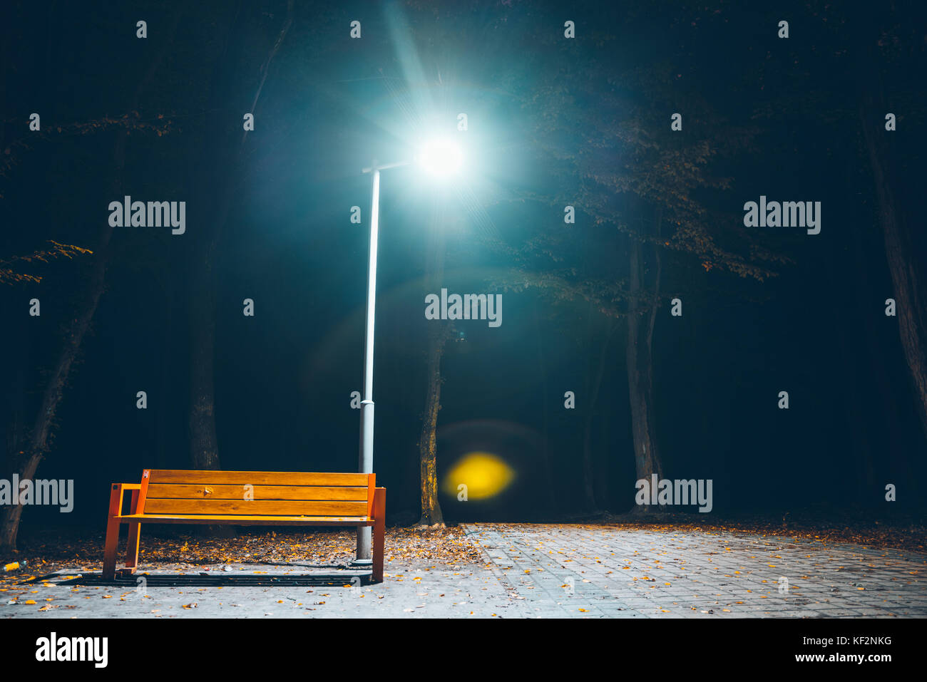 bench in city park at the night with light Stock Photo - Alamy