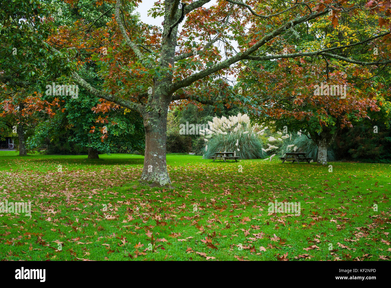 A park in Hampshire. English countryside in the fall season Stock Photo ...