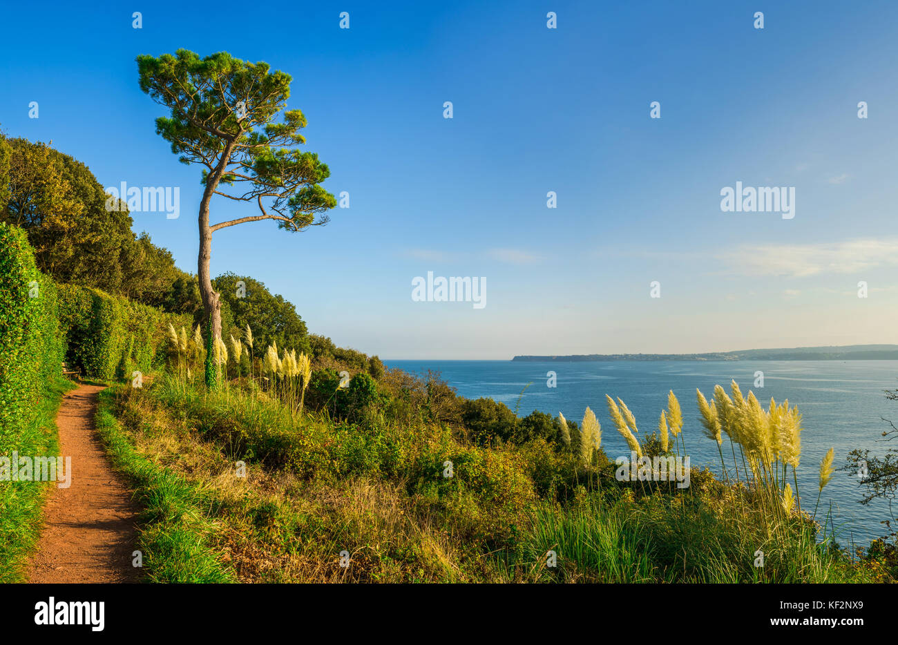 View of coast and sea in Torquay, South Devon, UK Stock Photo - Alamy