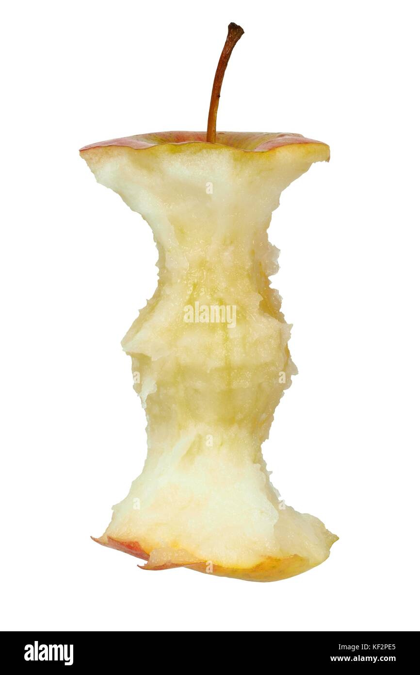 Big apple core isolated on white background Stock Photo - Alamy