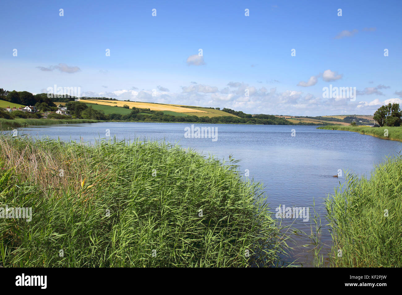 slapton ley on the south devon coast Stock Photo - Alamy