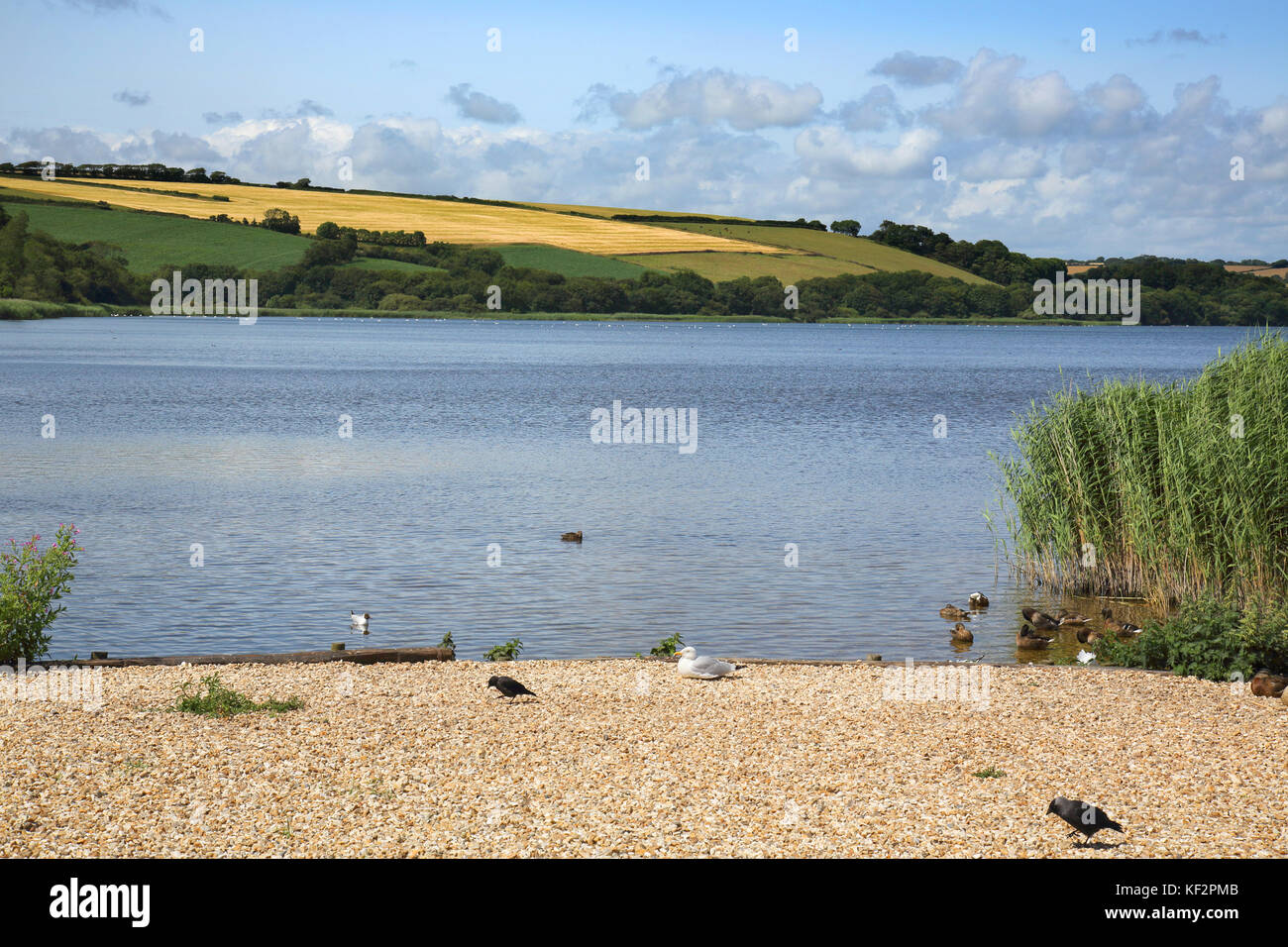 slapton ley on the south devon coast Stock Photo - Alamy