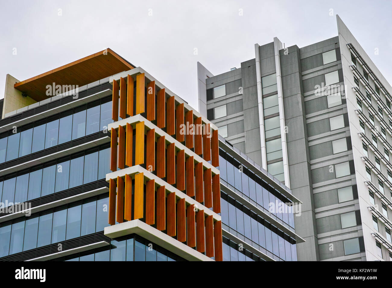 Looking up at modern high-rise office buildings. Tall commercial ...