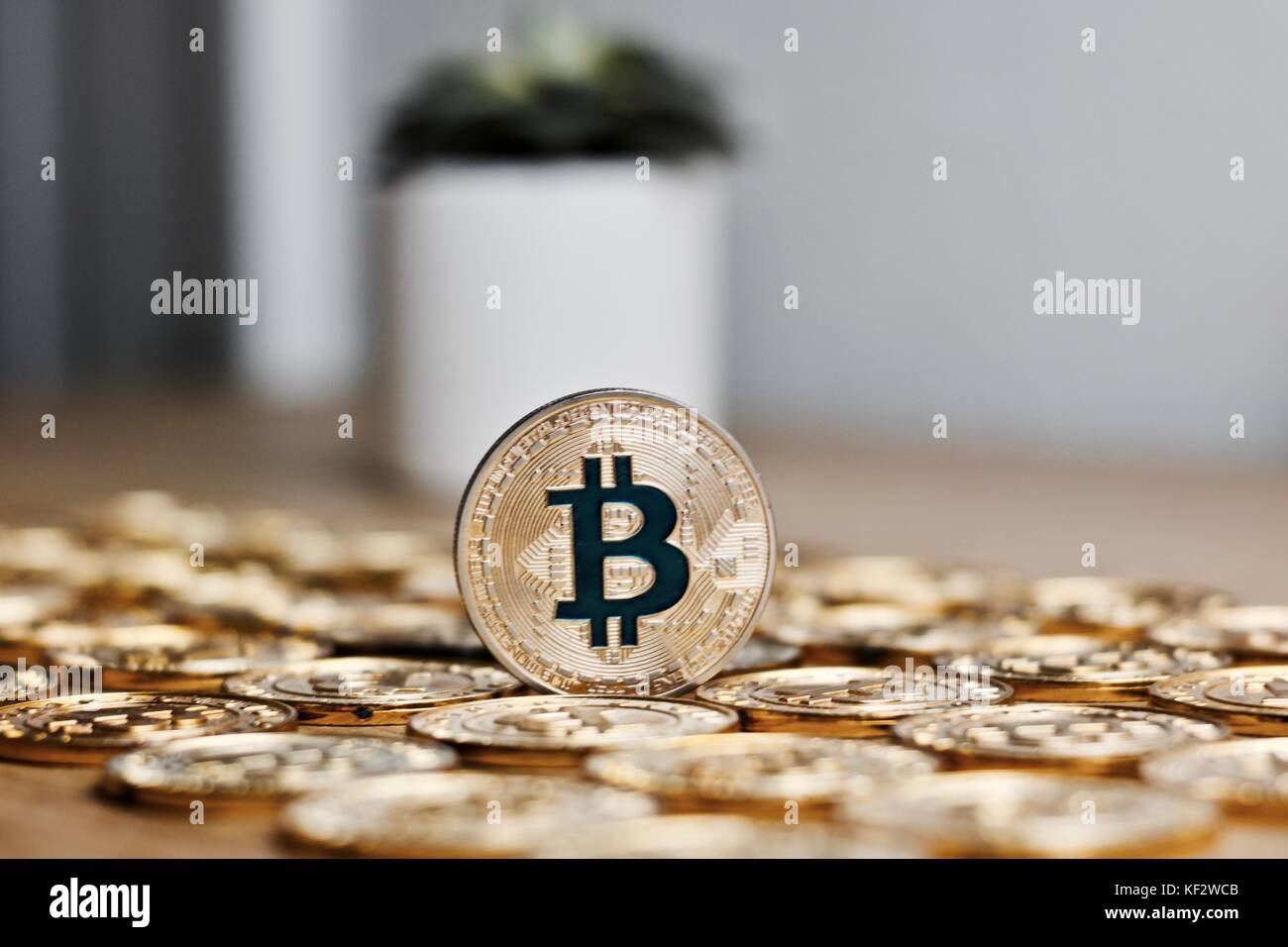 Digital currency physical metal bitcoin coin on the gold money ...