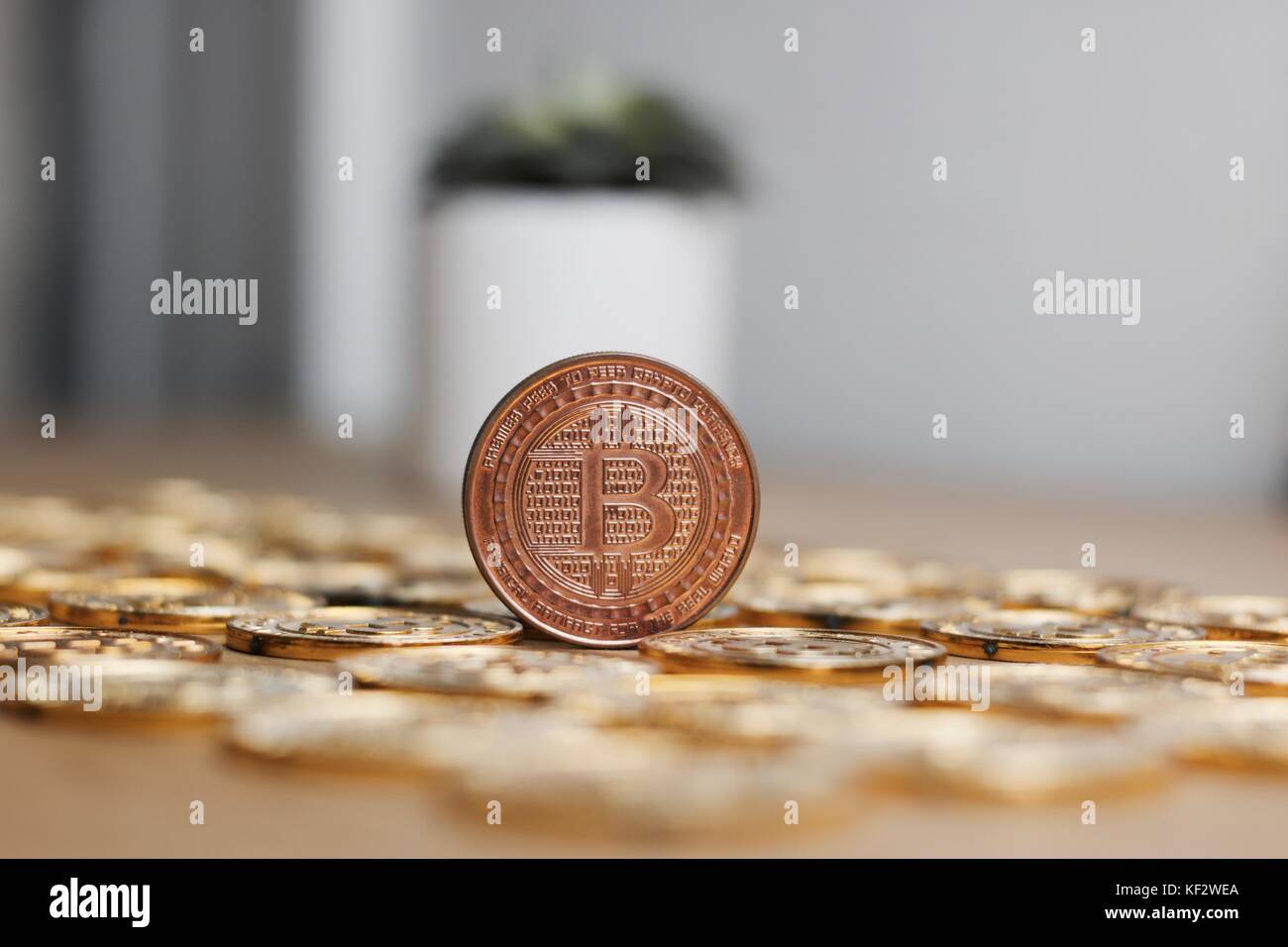 Digital currency physical metal bitcoin coin on the gold money ...