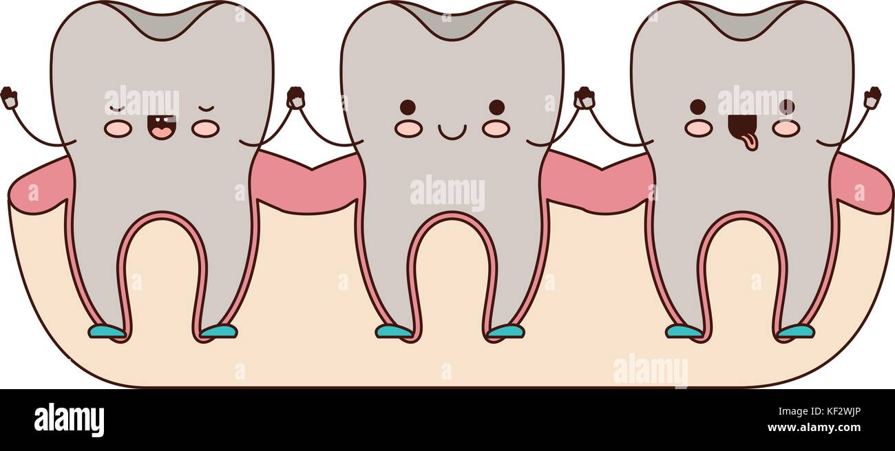 tooth cartoon on gum and holding hands in colorful silhouette Stock ...