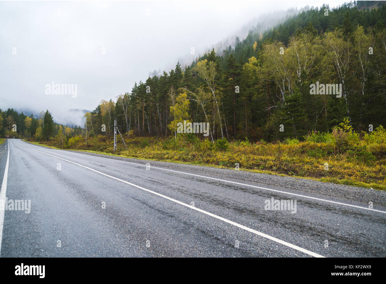 Federal highway M-52 Chuysky tract, asphalt road with markings among ...