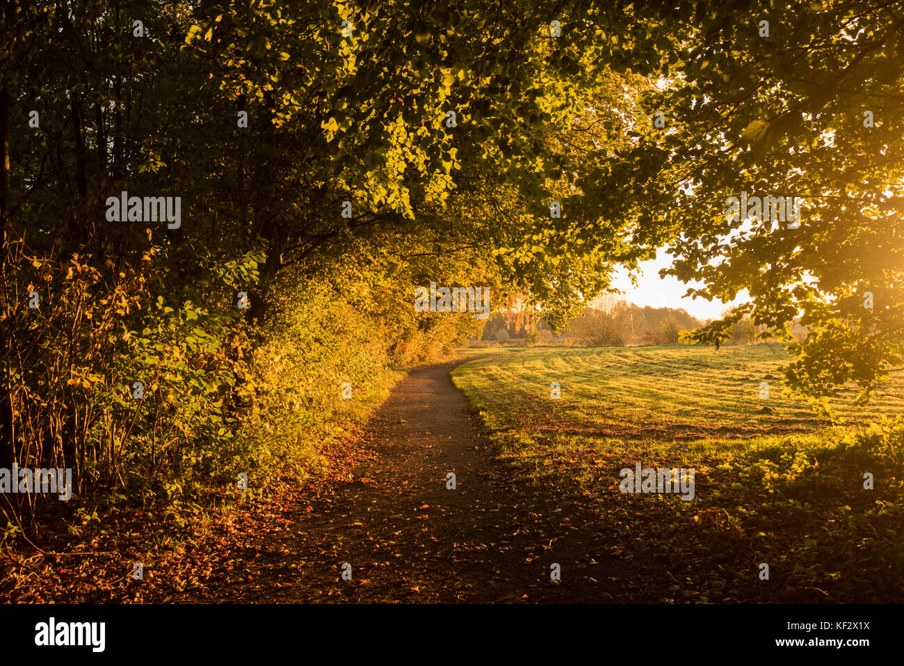 Autumn Morning at Colwick Country Park in Nottingham, England UK Stock ...