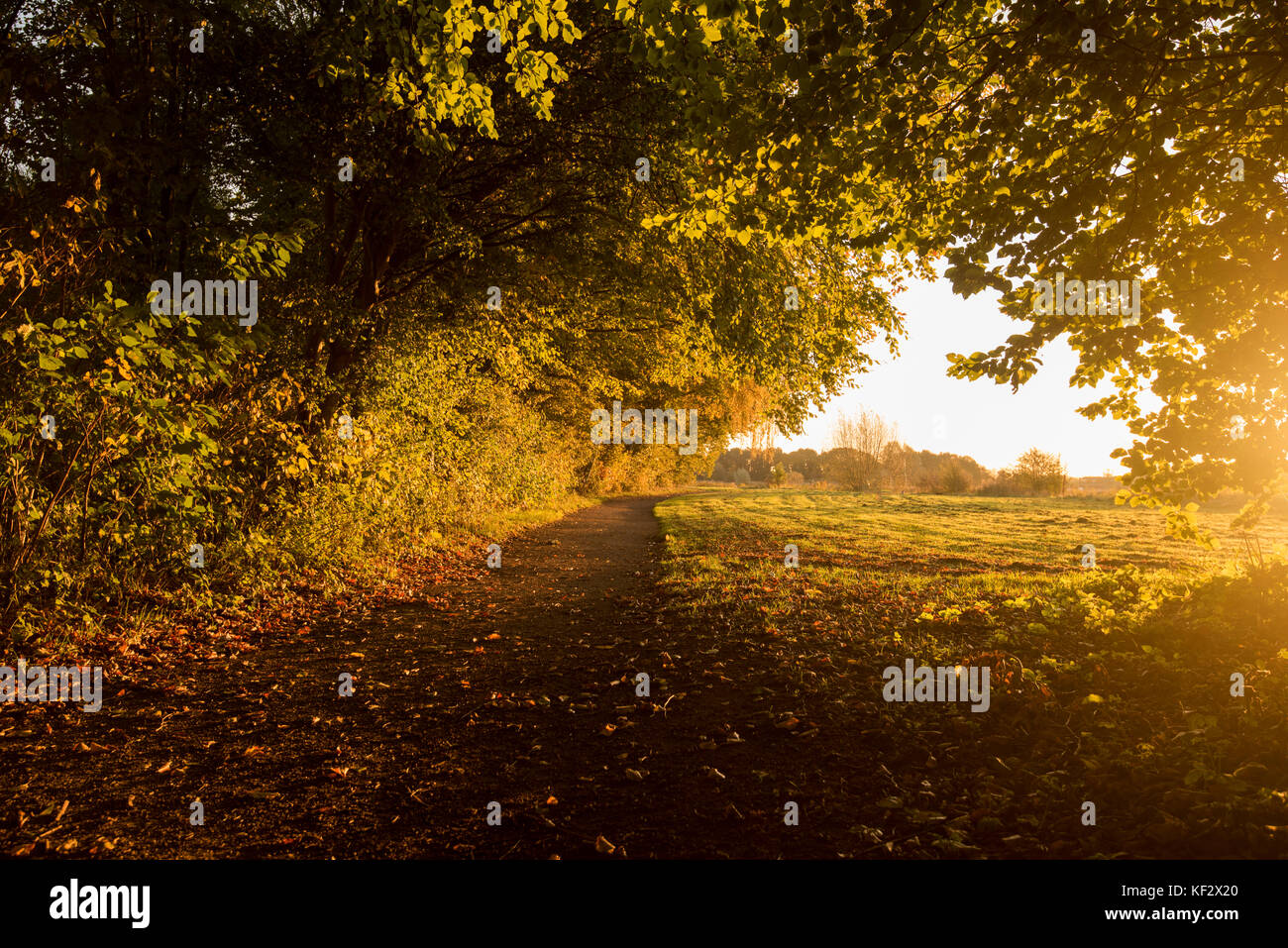 Autumn Morning at Colwick Country Park in Nottingham, England UK Stock ...
