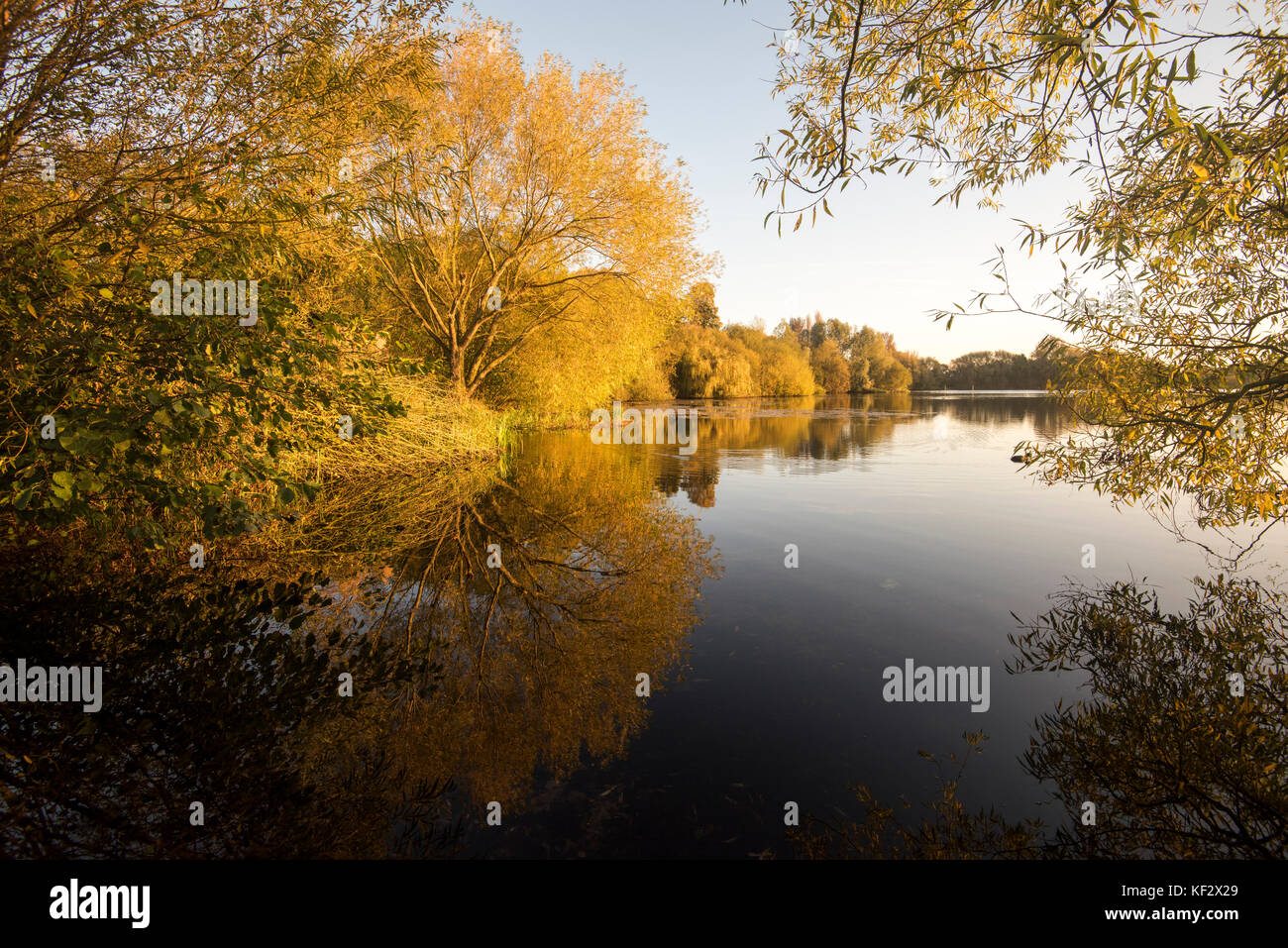 Autumn Morning on the lake at Colwick Country Park in Nottingham ...
