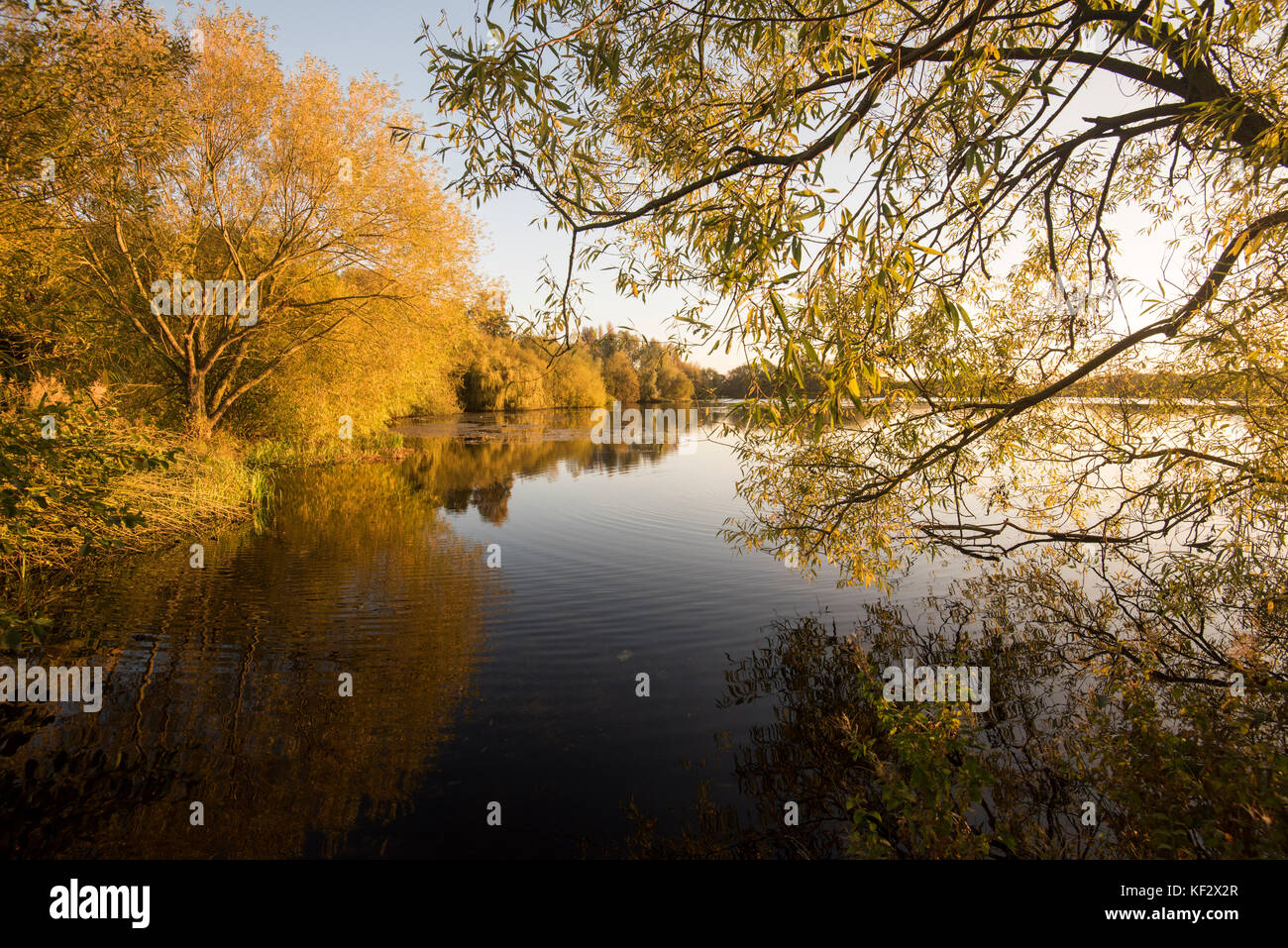 Early Morning Autumn Light on the Lake at Colwick Park, Nottingham ...