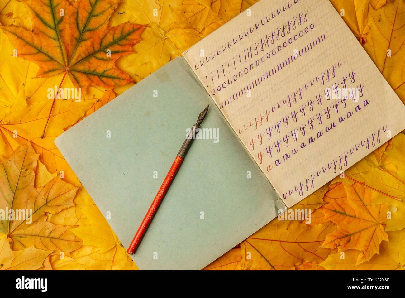 Old school exercise book with a wooden ink pen on a background of ...
