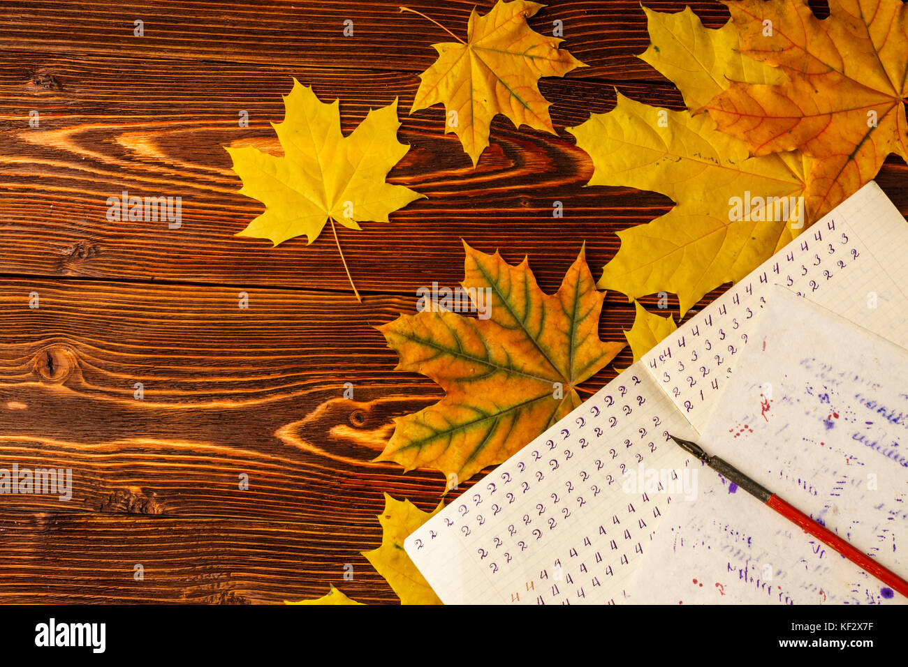 Old school exercise book with a wooden ink pen and yellow maple leaves ...