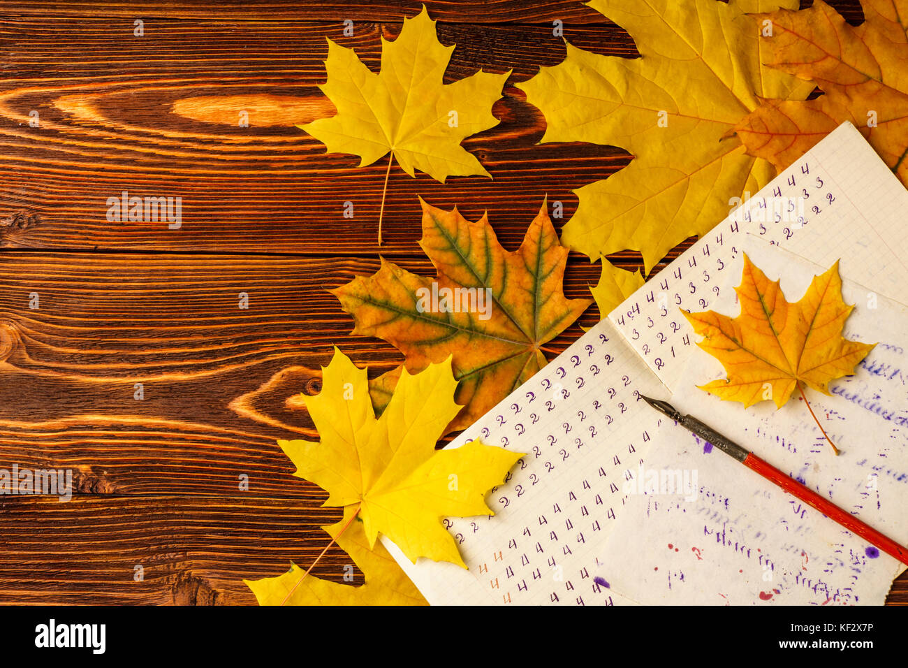 Old school exercise book with a wooden ink pen and yellow maple leaves ...