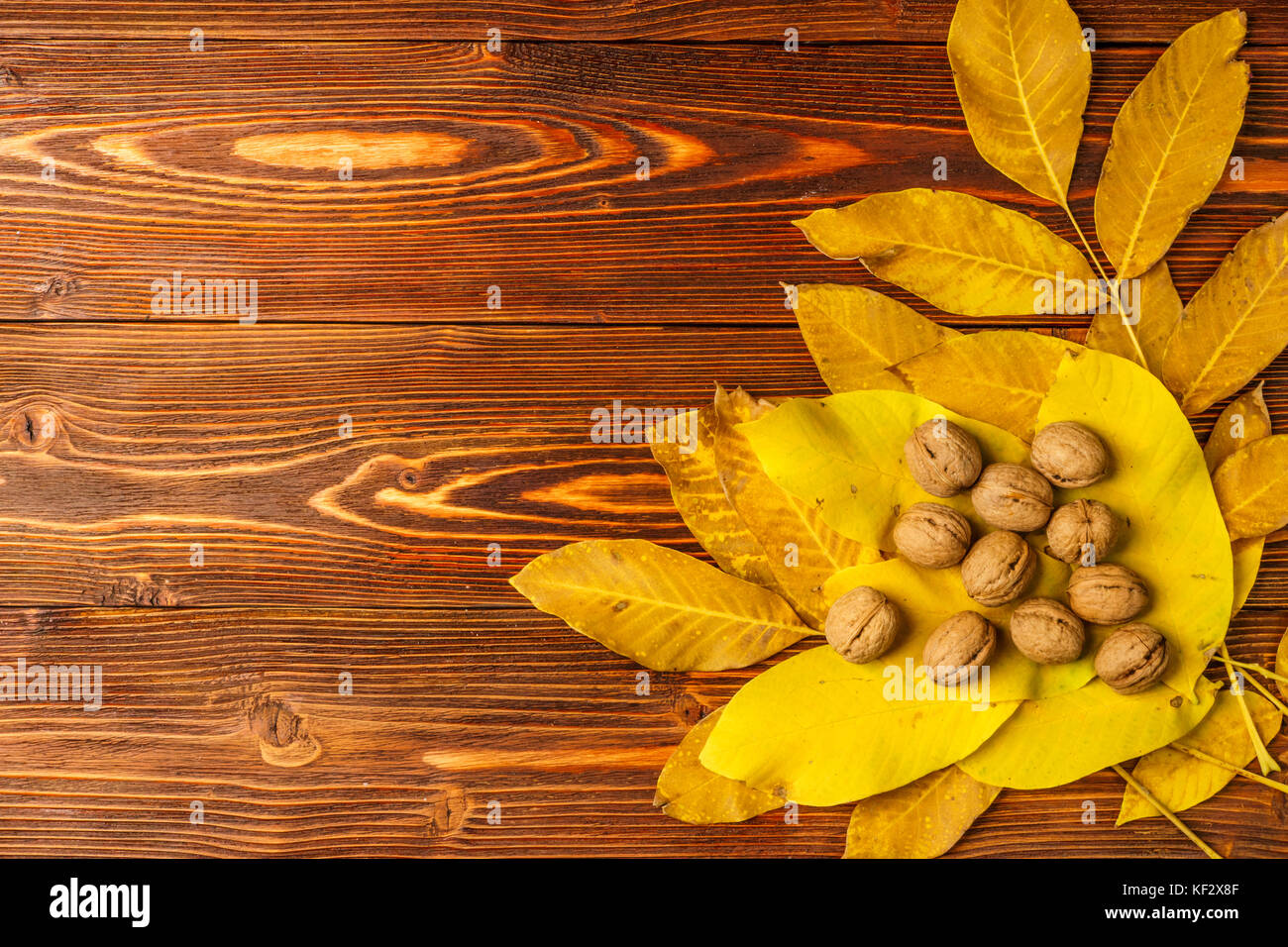 Walnuts with autumn yellow walnut leaves against the background an old ...