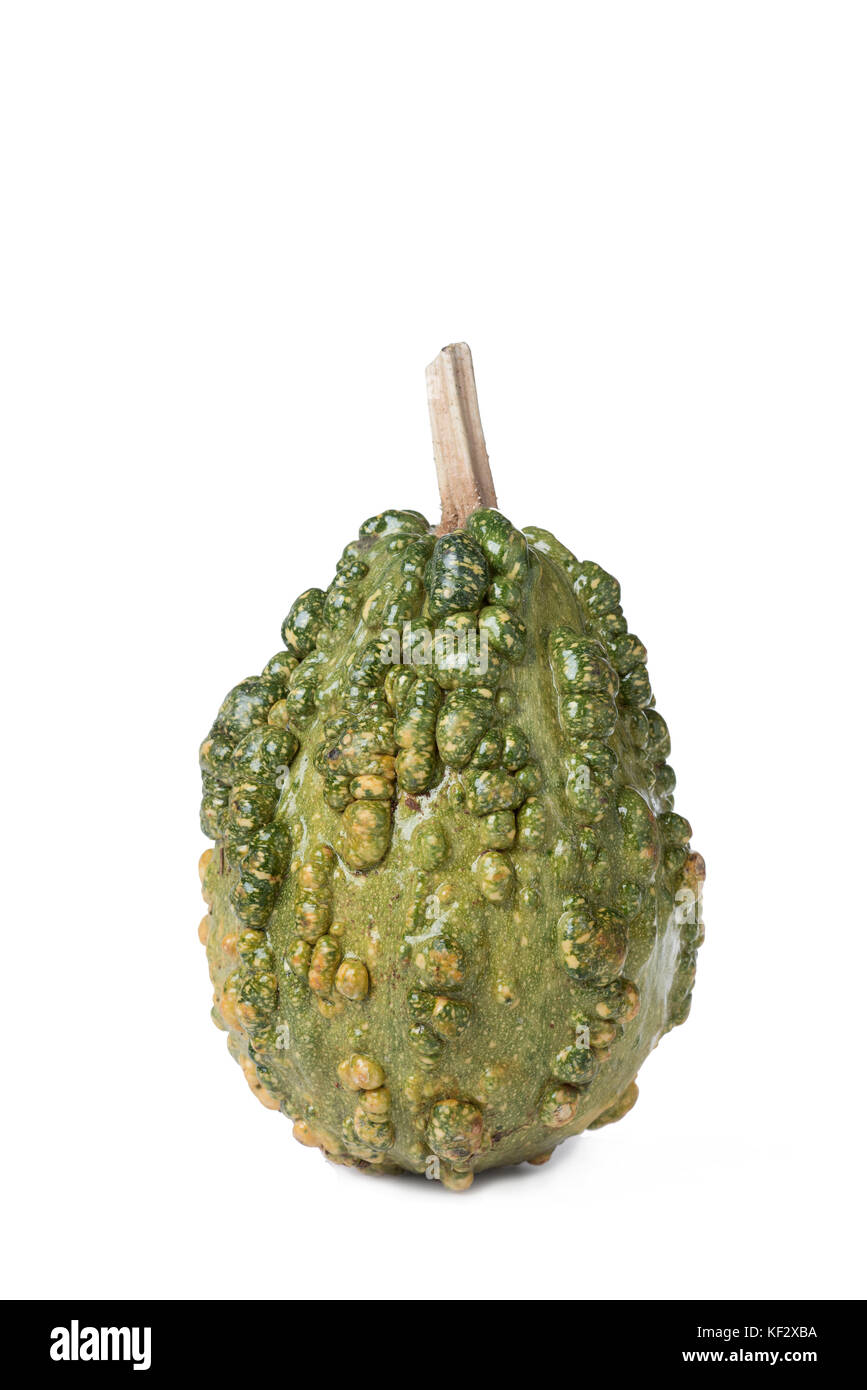 Warty squash hi-res stock photography and images - Alamy
