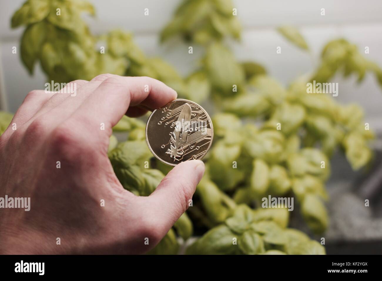 Digital currency physical gold metal feather coin with red heart ...