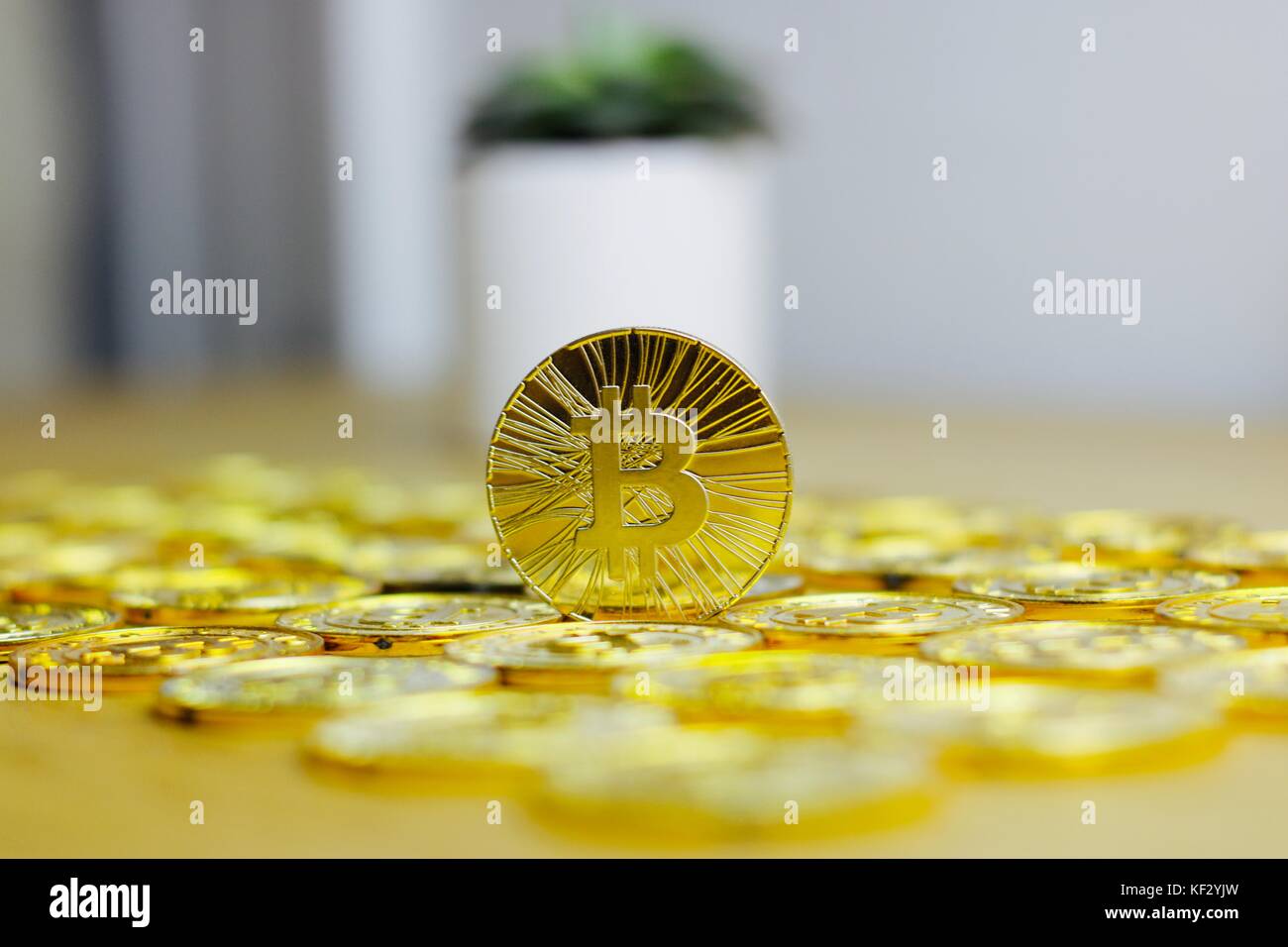 Digital currency physical metal bitcoin coin on the gold money ...