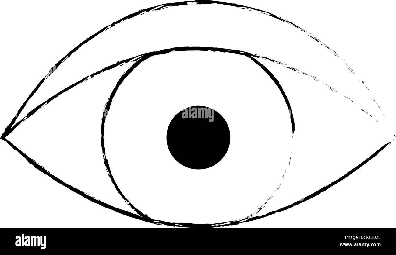 eye human isolated icon vector illustration design Stock Vector Image ...